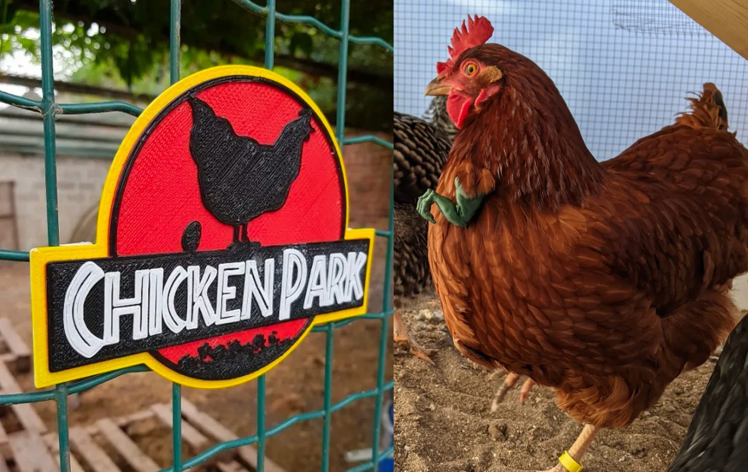 Upgrade your livestock: 3D printed accessories for chickens, bees, cows ...